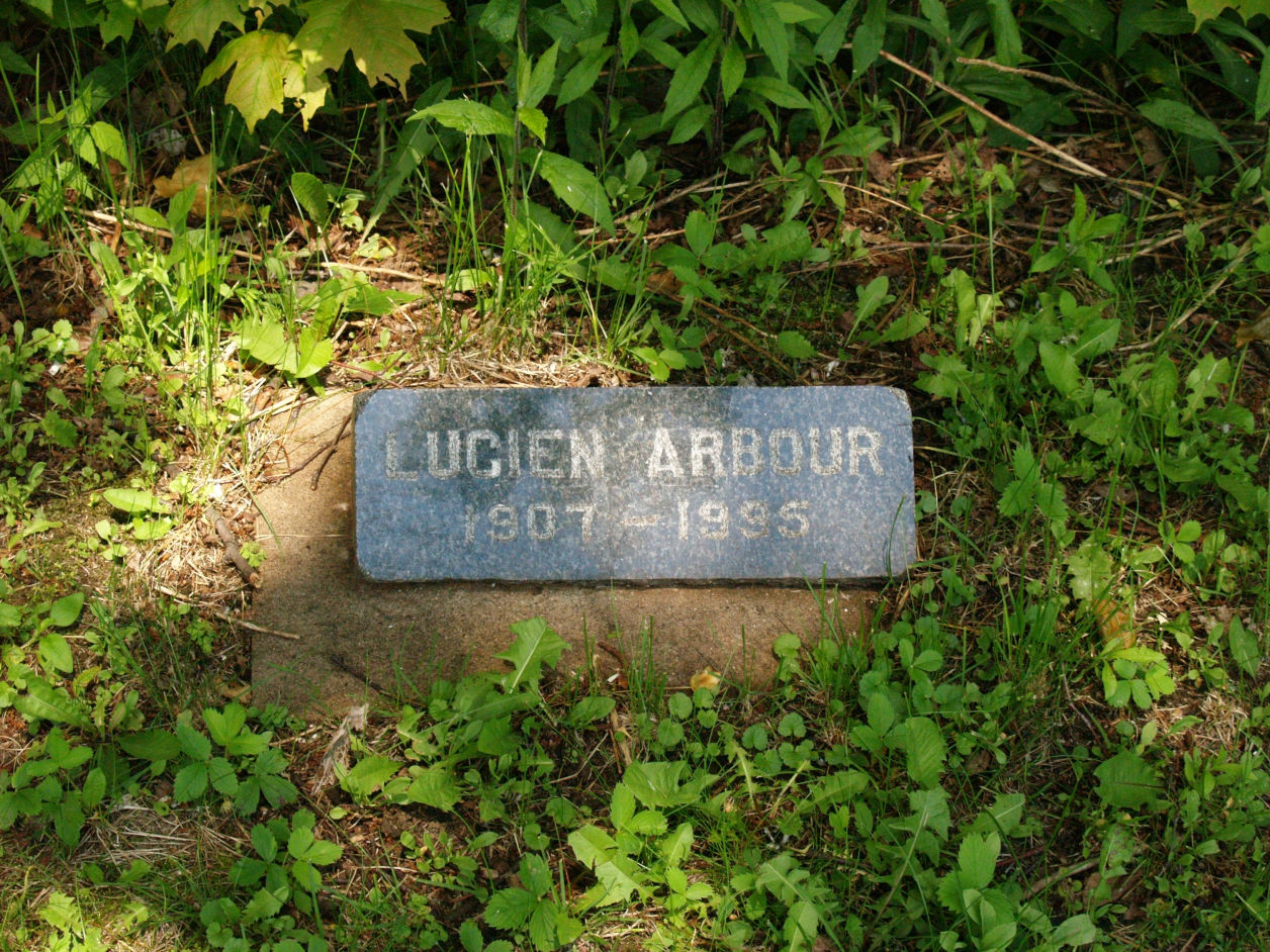 Adam-Arbour
